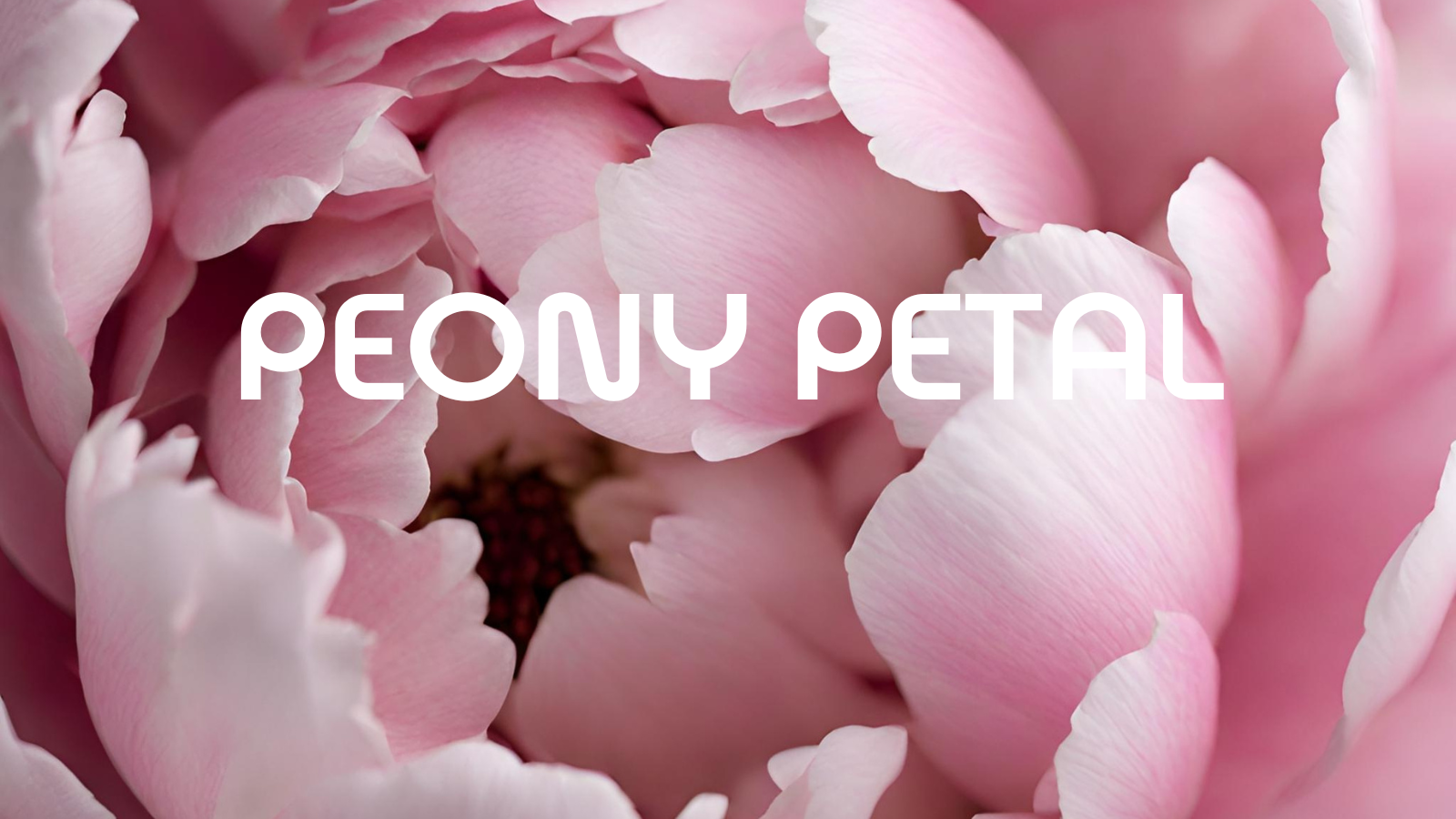 PEONY PETAL – Glitter Sports